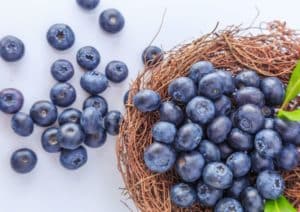 O Que é Mirtilo é Para Que Serve?